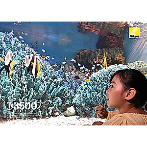 Nikon AF-P DX NIKKOR 18-55mm f/3.5-5.6G VR Lens for Nikon DSLR Cameras