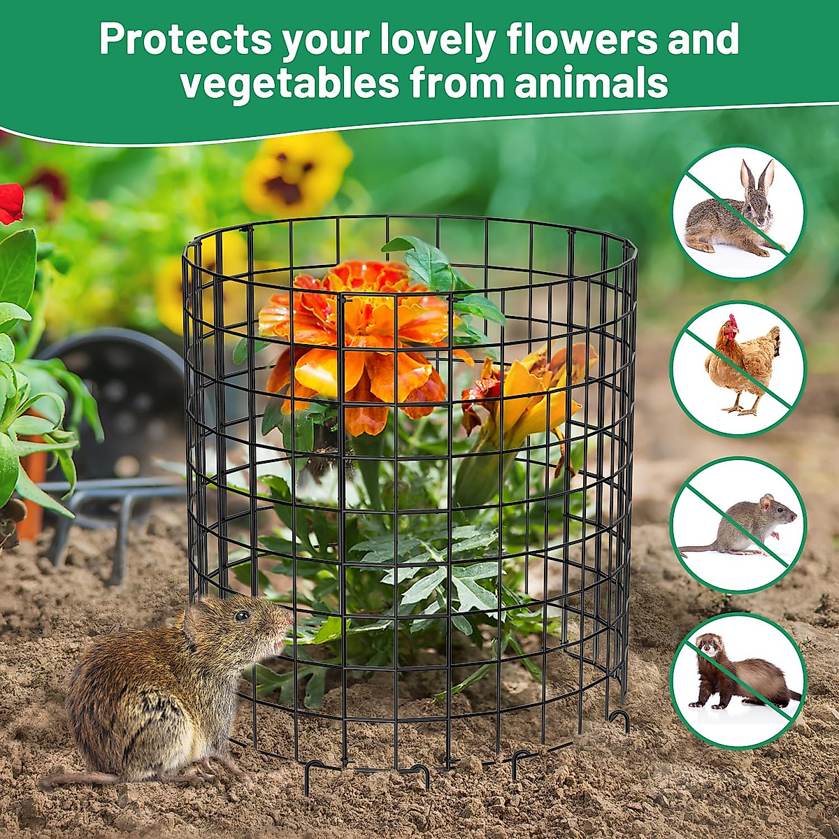 Keten 5 Pack Plant Protector from Animals, 15pcs Metal Mesh to Keep Animals Out, 13.7'' Dia x 13.7'' H Plant Cages, Garden Protection Bunny Barricades from Chicken Squirrels for Flowers & Vegetables