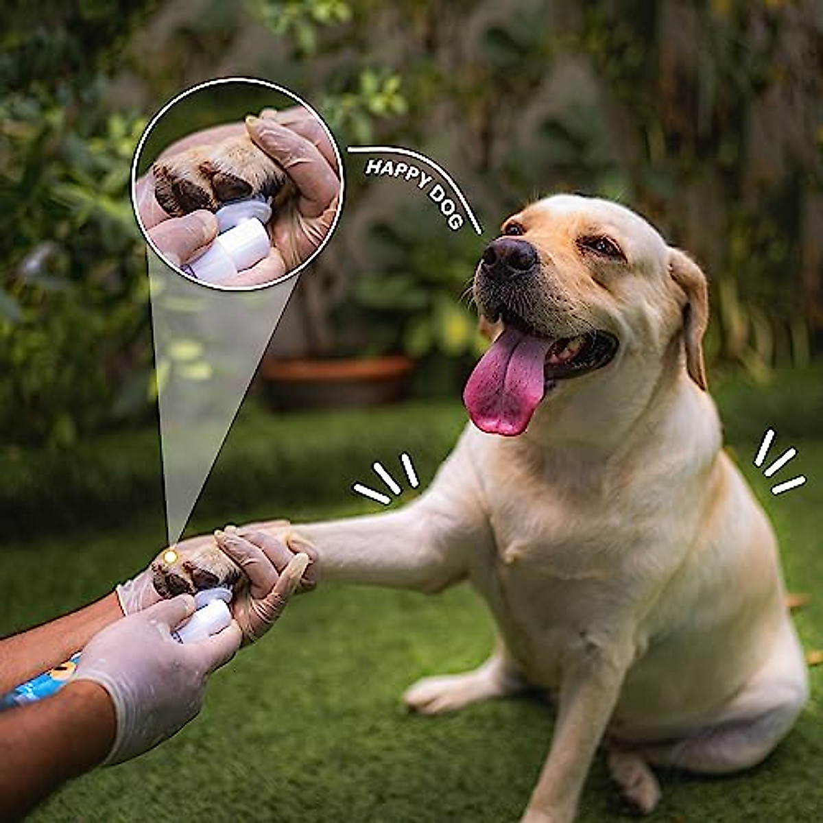 Be Happy Paw Dog Paw Cleaner 6.8fl oz No-Rinse Waterless Shampoo Foam Paw Cleanser with Silicone Brush and Microfiber Towel, Natural Pet Paw Cleaner for Dogs and Cats