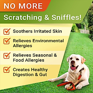 Probiotics + Allergy Relief for Dogs Bundle - Chewable Fiber Supplement + Itchy Skin Treatment - Digestive Enzymes + Omega 3 & Pumpkin - Upset Stomach Relief + Itch Relief- 360 Chews - Made in USA