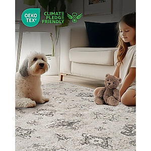 Disolla Washable Moroccan Area Rug 8x10ft for Living Room Bedroom Large Soft Indoor Decor Carpet Non Slip Distressed Neutral Low Pile Floor Rugs for Dining Room Office, Beige & Gray