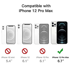 JETech Magnetic Case for iPhone 12 Pro Max 6.7-Inch Compatible with MagSafe Wireless Charging, Shockproof Phone Bumper Cover, Anti-Scratch Clear Back (Clear)