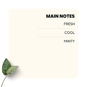 Babel Alchemy Beard Balm and Conditioner - All Natural Organic Grooming Beeswax Balm for Leave-In Conditioning, Styling, Softening, and Promoting Growth (Sweet Tea Tree)