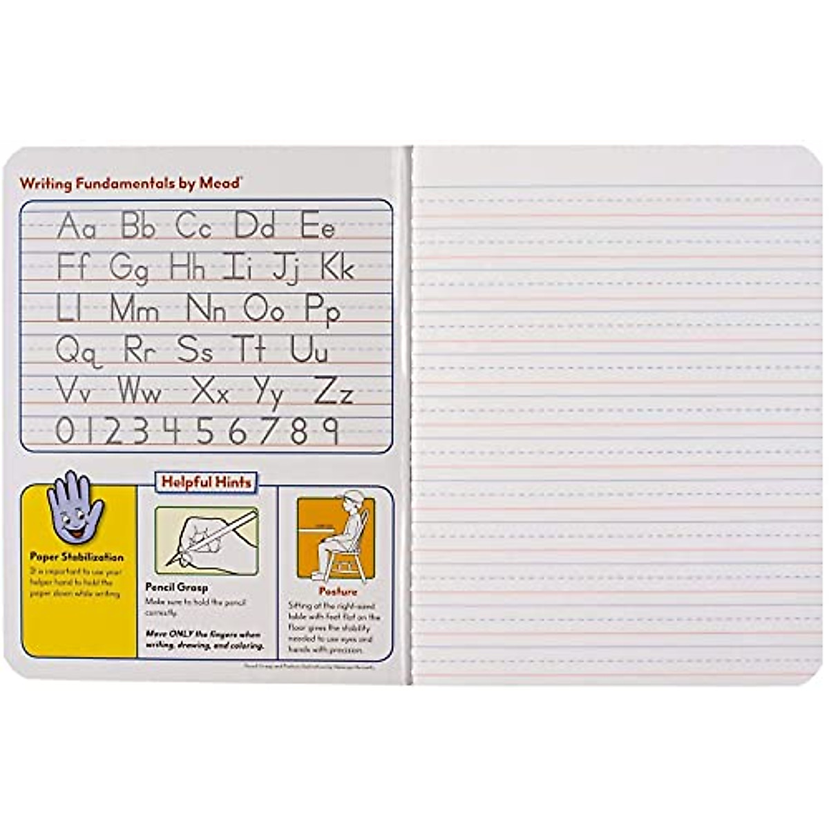 Mead Primary Composition Notebook K-2, 12 Pack Primary Ruled Composition Book, Color May Vary, Grades K-2 Writing Dotted Lined Notebook, 100 Sheets (200 Pages) 489902ELG