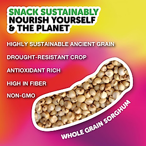 Vegan Rob's Cauliflower Puffs Clean & Sustainable with a Great Veggie Taste - Plant-Based & Gluten Free Healthy Snacks for Kids & Adults - 4 Count (3.5 Ounce)