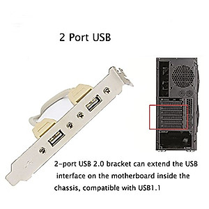 SinLoon （2-Pack Computer Cables & Connectors New 2 Port USB 2.0 Motherboard Rear Panel Expansion Bracket to IDC 9 Pin Motherboard USB Cable Host Adapter