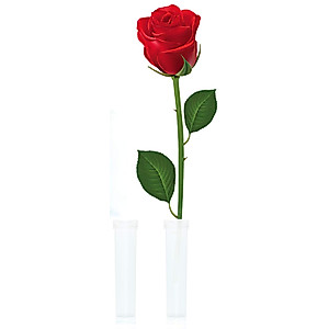 RuiLing 50pcs Transparent Flower Nutrition Tube Plastic Water Tube with Cap to Keep Flower Fresh for Wedding Event Arts Crafts Floral Hydroponic Container 72x18mm