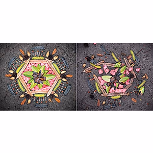 Morning Altars: A 7-Step Practice to Nourish Your Spirit through Nature, Art, and Ritual