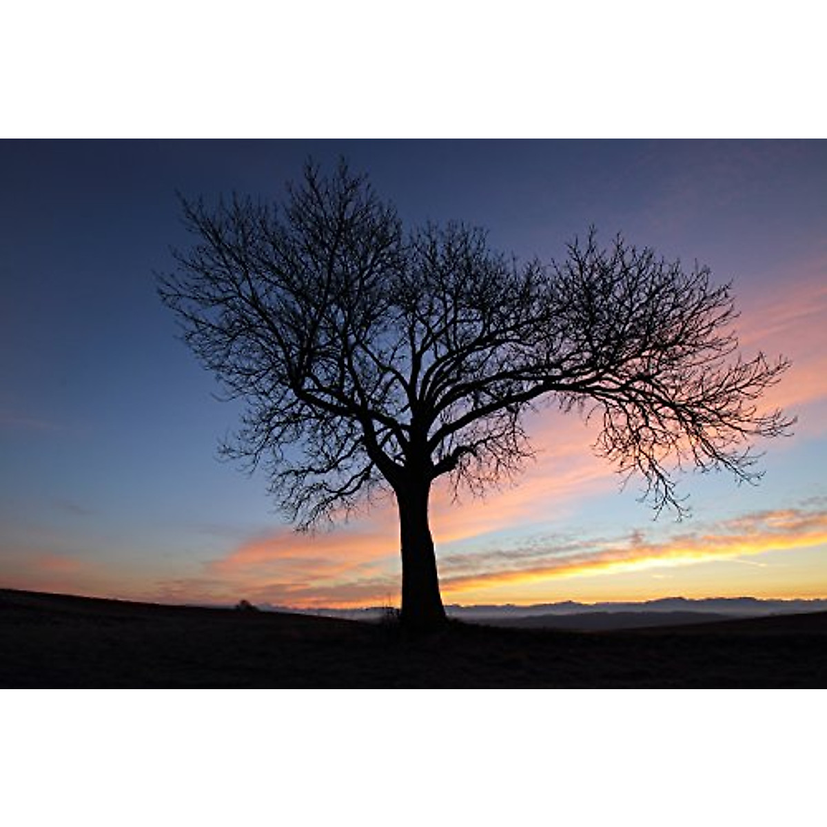 Tamron 10-24mm F/3.5-4.5 Di-II VC HLD Wide Angle Zoom Lens for Canon APS-C Digital SLR Cameras Black