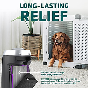 Germ Guardian FLT5250PT True HEPA Genuine Air Purifier Replacement Filter C, with Pet Pure Treatment for GermGuardian AC5250PT, AC5000E, AC5300B, AC5350W, AC5350B, CDAP5500, and More