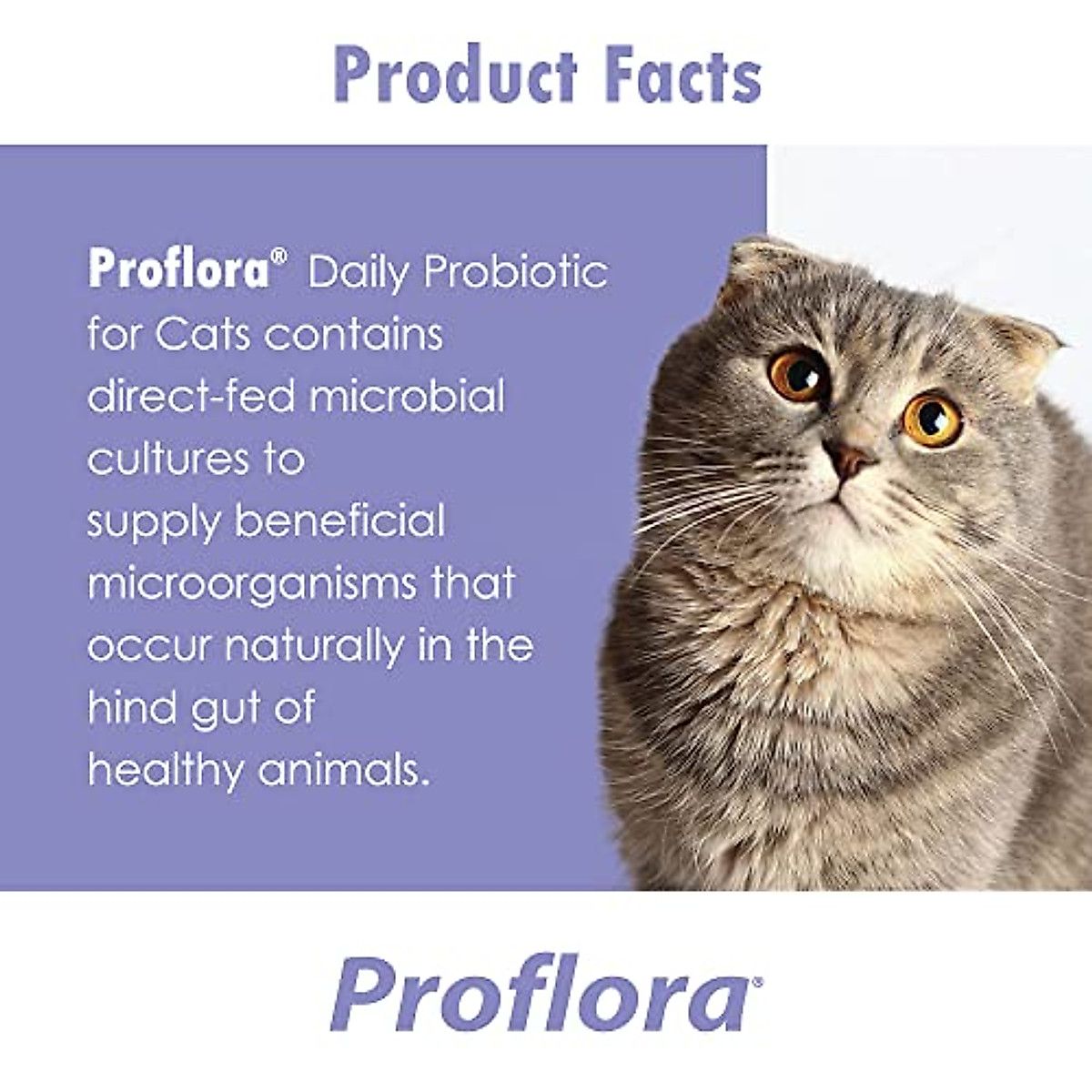 Proflora Probiotic for Cats - Healthy Digestion - Boost Immune System - Normal Bowel Function - Skin and Coat Health - Supplement for GI Tract - 30 Servings