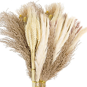 DEAYOU 65 PCS Natural Dried Pampas Grass, 17" Tall Dry Pampas Grass Branches for Boho Decor, Fluffy Pompous Reed Plants Stems Bundle for Flower Arrangements, Home Wedding Decor, 5 Styles