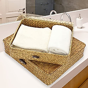 Hipiwe Set of 2 Flat Woven Wicker Storage Bins with Lid Natural Seagrass Basket Boxes Multipurpose Home Organizer Bins Boxes for Shelf Organizer, Caramel