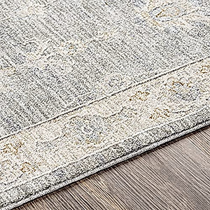 Artistic Weavers Gautier Traditional Oriental Area Rug, 2'7" x 10', Medium Gray