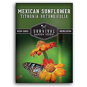 Survival Garden Seeds - Mexican Sunflower Seed for Planting - Packet with Instructions to Plant and Grow Tithonia Rotundifolia in Your Home Vegetable or Flower Garden - Non-GMO Heirloom Variety