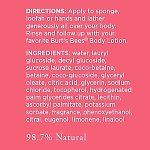 Burt's Bees Body Wash With Citrus & Ginger, 12 Oz, Packaging May Vary