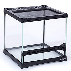 REPTIZOO Mini Reptile Glass Terrarium Tank 8"x8"x8", Front Opening Door Full View Visually Appealing Mini Reptile or Amphibians Glass Habitat