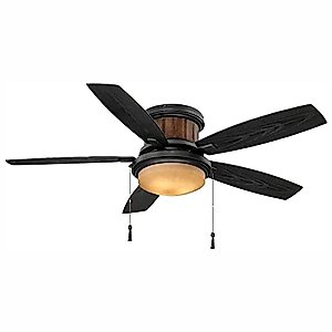 Hampton Bay Roanoke 48 in. LED Indoor/Outdoor Natural Iron Ceiling Fan with Light Kit