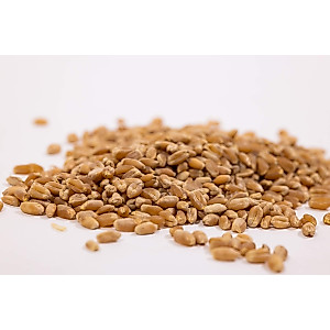 Cali Kiwi Pros Organic Cat Grass for Indoor Cats & Pets-Wheat Grass & Cat Grass Seeds for Digestion and Hairballs - Non-GMO -16 oz