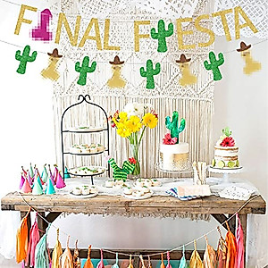 Fiesta Bachelorette Party Banner, Funny Cactus Garland for Mexican Bridal Shower Decorations, Cactus Engagement, Wedding Supplies