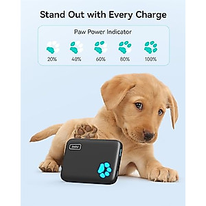 INIU for Magsafe Portable Charger, Small 10000mAh 20W PD Magnetic Power Bank, USB C in&Out Wireless Battery Pack Phone Charger, Only for iPhone 15/15 Plus/15 Pro/15 Pro Max, iPhone 14/13/12 Series