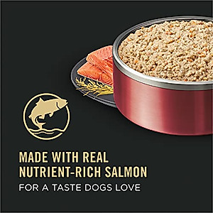 Purina Pro Plan Sensitive Skin and Stomach Dog Food Pate, Sensitive Skin and Stomach Salmon and Rice Entree - (12) 13 oz. Cans