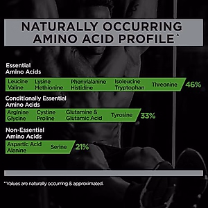 Rule 1 R1 Mass Gainer, Strawberries & Creme - 5.71 Pounds - 40g of All-Whey Protein with 6:1 Carb-to-Protein Ratio - 8 Servings