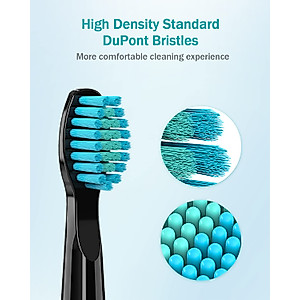 Initio IT959 Replacement Toothbrush Heads Compatible with Dnsly, Professional Electric Toothbrush Heads for SEAGO 958 507 M10 M8, CleanCare Toothbrush Heads Compatible with Oraimo 2303, 3 Pack, Black