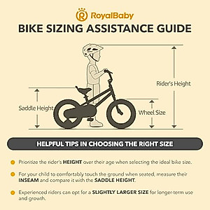 RoyalBaby Freestyle Kids Bike 20 Inch Wheel Bicycle Teens BMX with Dual Hand Brakes Kickstand Boys Girls Ages 6-10 Years, Pink