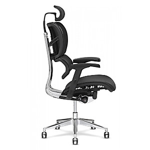X-Chair XG-Wing Management Task Chair, Black K-Sport Mesh Fabric with Headrest - Ergonomic Office Seat/Split-Back Design/Dynamic Variable Lumbar Support/Floating Recline/Perfect for Long Work Days
