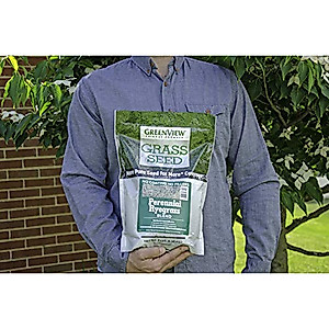 Greenview Fairway Formula Grass Seed Perennial Ryegrass Blend - 3 lb. Bag
