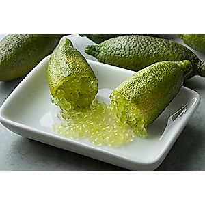 9 Finger Lime Seeds Can Grow in Pot Ornament Garden