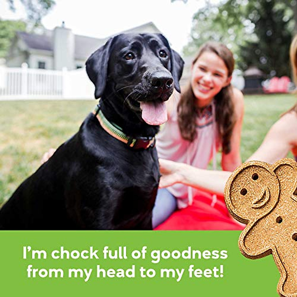 Buddy Biscuits Grain Free Soft & Chewy Dog Treats, Small Dog or Large Dogs Training, Healthy Roasted Chicken 5 oz.