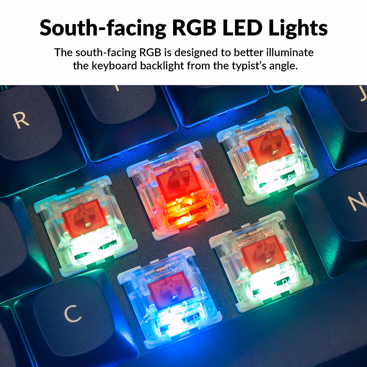 Keychron Q2 Wired Custom Mechanical Keyboard, QMK/VIA Programmable Macro, Full Aluminum, Hot-Swappable Gateron G Pro Red Switch, 65% Layout Double Gasket Compatible with Mac and Windows - Blue