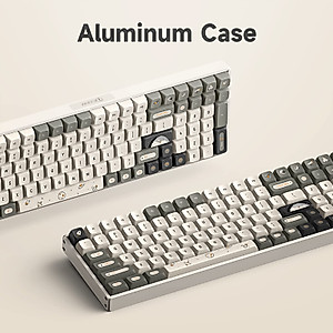 iQunix F97 Hitchhiker Gaming Keyboard, 96% Layout 100 Keys 2.4G & Bluetooth 5.1 Wireless Hot Swappable Mechanical Keyboard with Cherry MX Blue Switch LED Backlight for Windows/Mac/Android/iOS