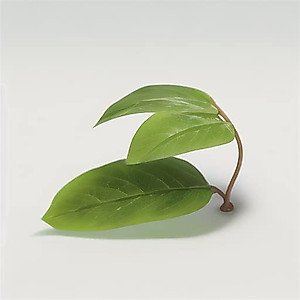 DOIDO Betta Bed Leaf Hammock, Silk Betta Fish Leaf Hammocks Pad Lounger Toys Lightweight and Realistic Fish Hideout Plastic Aquarium Plants Accessories for Fish Tank Decorations (2pcs)