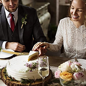 Homi Styles Wedding Cake knife and Server Set | Elegant Gold Color Plastic Handles And Premium 420 Stainless Steel Titanium gold plated Blades | Cake & Pie Serving Set for Wedding,Birthdays, Parties