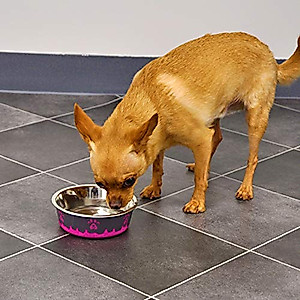 Maslow Design Series Non-Skid Paw Design Bowl, Pink 13 oz/1.625 Cup