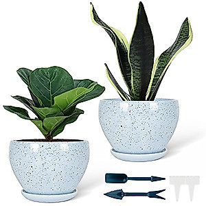 Siyzda 2 Pack Ceramic Plant Pots - 5 Inch Flower Pots with Porcelain Tray Modern Simple Style Plant Pots for Outdoor/Indoor Plants, Flowers, Succulents, Cactus