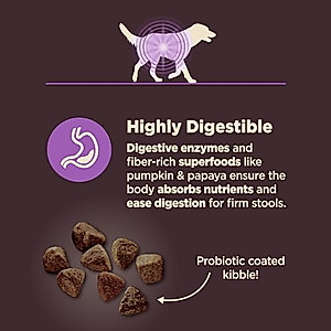 Wellness CORE Digestive Health Dry Senior Food with Wholesome Grains, Advanced Age for Dogs Over 7-Years Old, for Dogs with Sensitive Stomachs, Made in USA with Real Chicken (Senior, 4 Pound Bag)