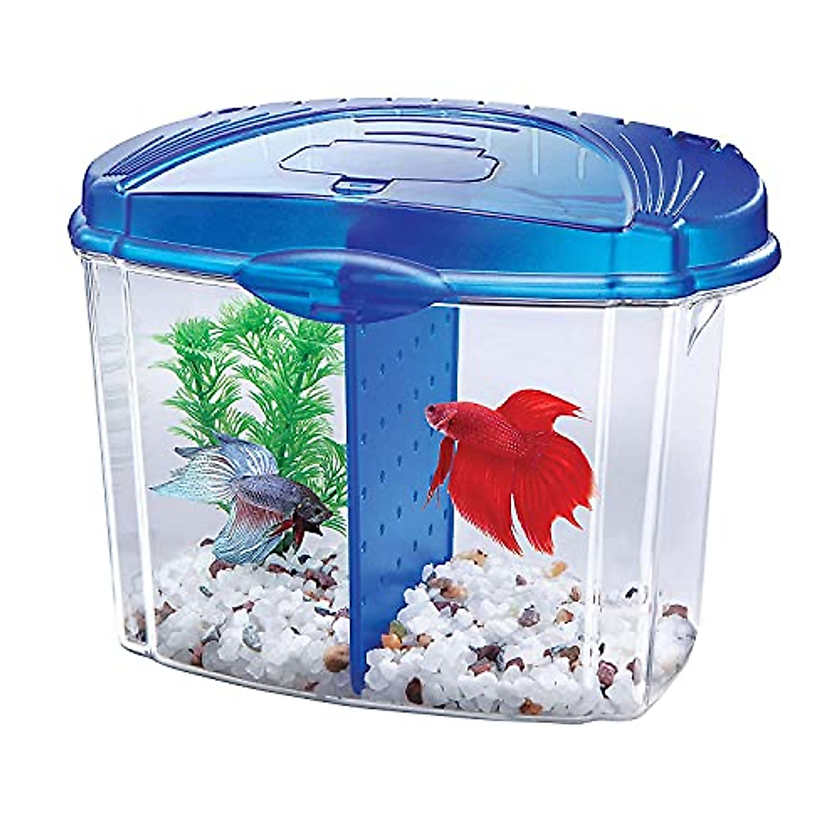 Aqueon Betta Bowl Aquarium Fish Tank Kit, Blue, Half Gallon