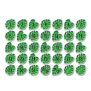 Creative Teaching Press Palm Paradise Monstera Leaves Calendar Days (10251)