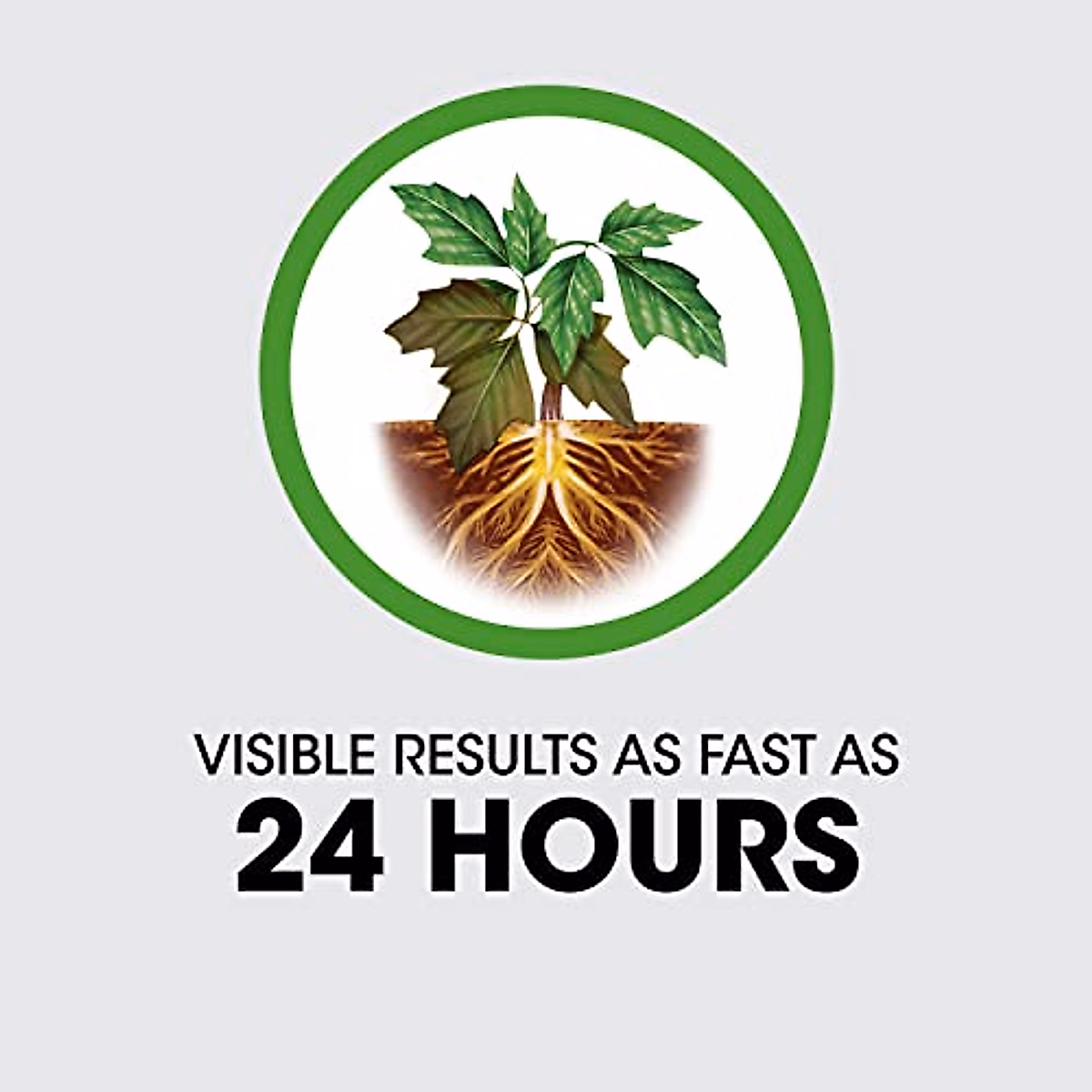 Roundup Ready-To-Use Poison Ivy Plus Tough Brush Killer, for Weeds, Grass, Stumps and Vines, Trigger Sprayer, 24 oz.