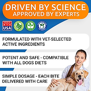 Advanced Dog Allergy + Salmon Oil Bundle - Itch Relief + Skin & Coat Support - Probiotics w/Fish Oil Omega 3 + EPA&DHA Fatty Acid - Skin Allergies + Skin&Coat Support - 120 Chews + 32oz - Made in USA