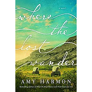 Where the Lost Wander: A Novel