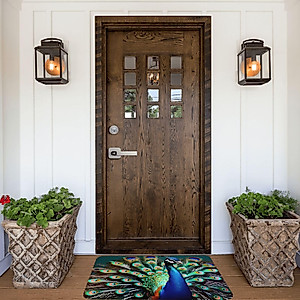 FRESQA Beautiful Peacock Print All-Season Indoor Outdoor Doormat,Multi-Functional and Stylish Home Decor