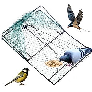 Bird Trap Outdoor Hunting Trap Bird Nets Camping Hunting Cage Tools Cage Trap,Sturdy Upgraded Version of The Breeding Hunting Animal Traps for Birds Pigeons Chinken Duck Pheasant (18x20 inches)