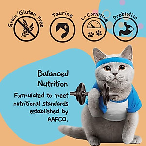 MOOCHIE Wet Cat Food - Weight Management - Grain Free Wet Cat Food - Minced Salmon & Prebiotics - No Added Preservatives or Artifical Flavoring - Adult Cat Food - 12 x 2.5oz Pouch