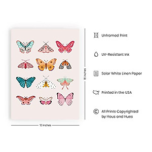 HAUS AND HUES Vintage Butterfly Posters & Butterfly Prints - Butterfly Poster Vintage Butterfly Art Wall Decor & Butterfly Art Prints Monarch Butterfly Wall Art & Butterflies Print UNFRAMED (12"x16")