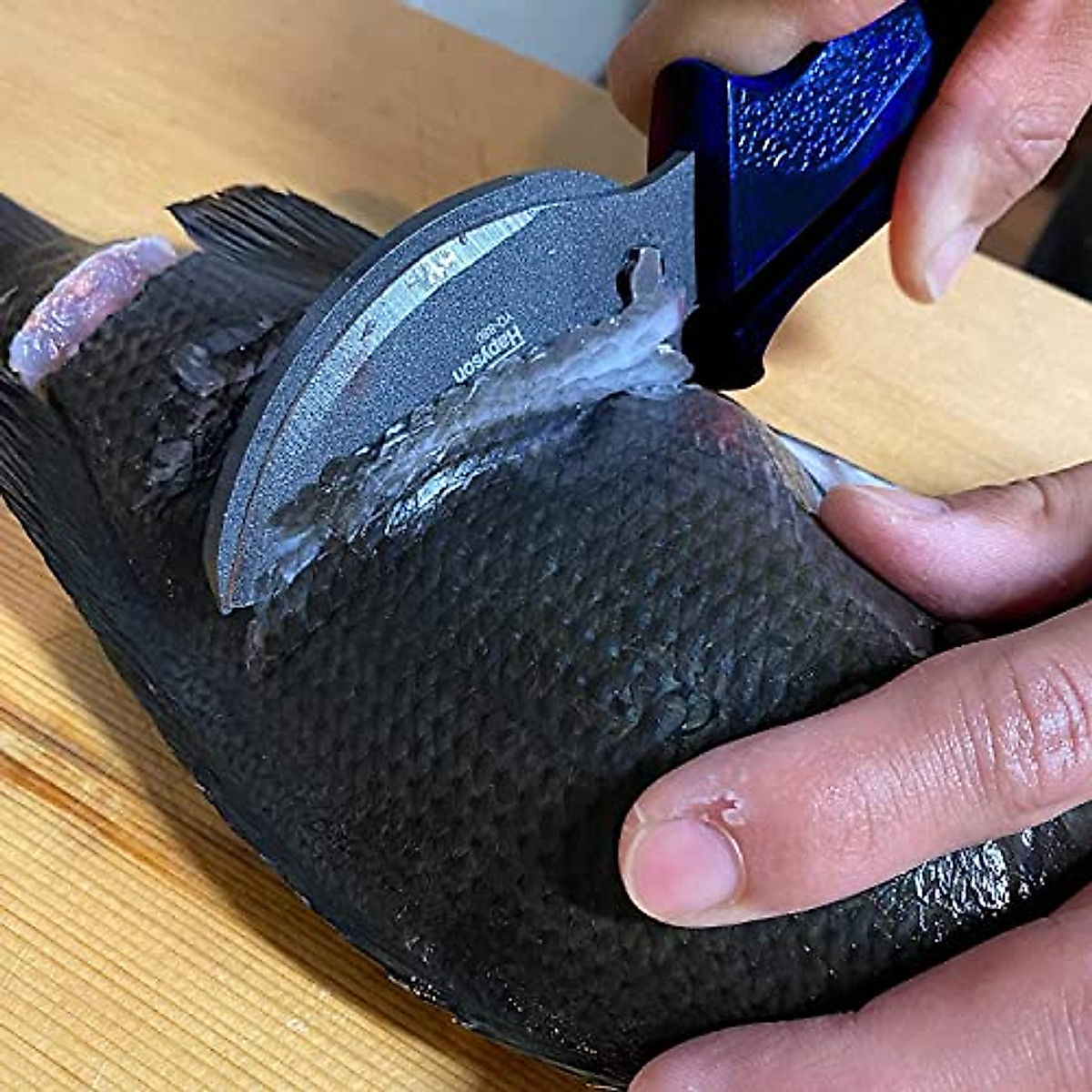 Hapyson YQ-880-B Tsumoto Type Measuring Multi Scissors, Blue